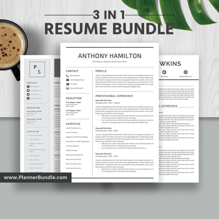 Clean Resume Bundle for Microsoft Word, Student CV Template, Simple and ...