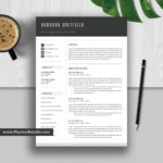 Editable Resume Template, Curriculum Vitae, Professional CV Layout ...