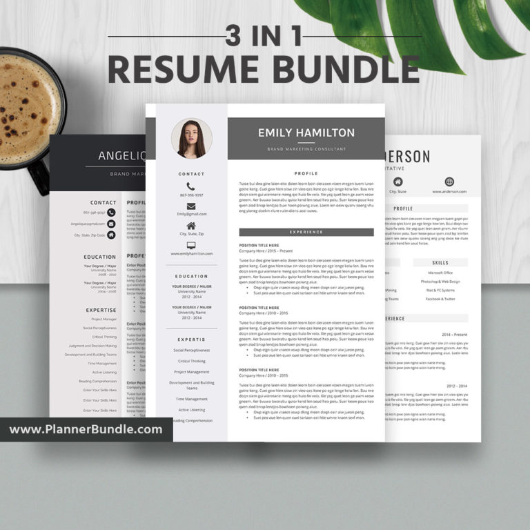 Modern Resume Bundle, Elegant Resume Template, MS Word CV Template, 1-3 ...