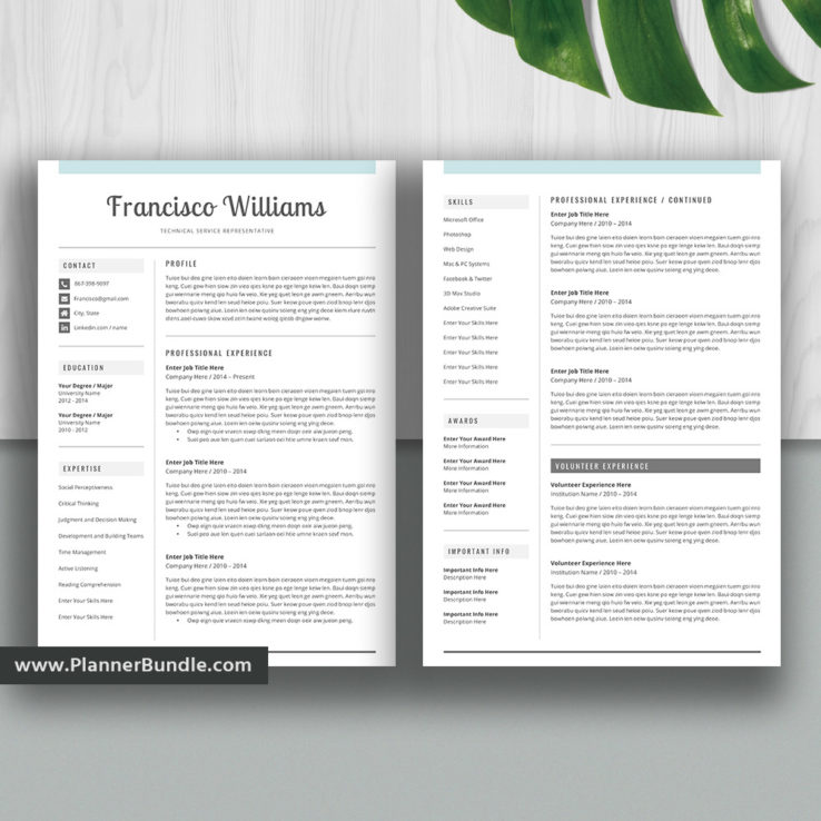 Professional Resume Template, 1-3 Page Resume, Simple CV Template, Word ...