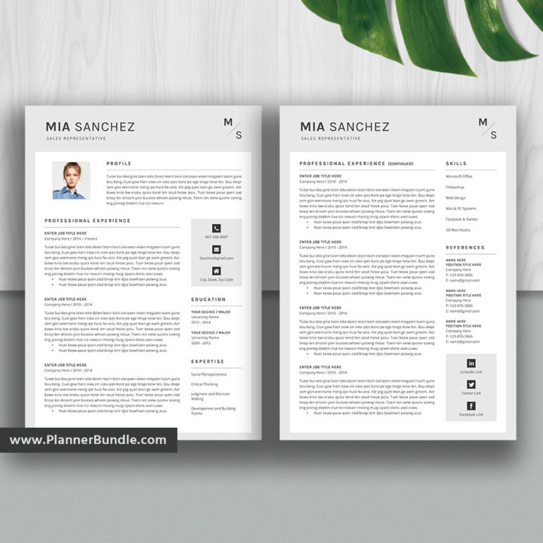 Editable Modern Resume Template, Job CV Template, Professional Resume ...